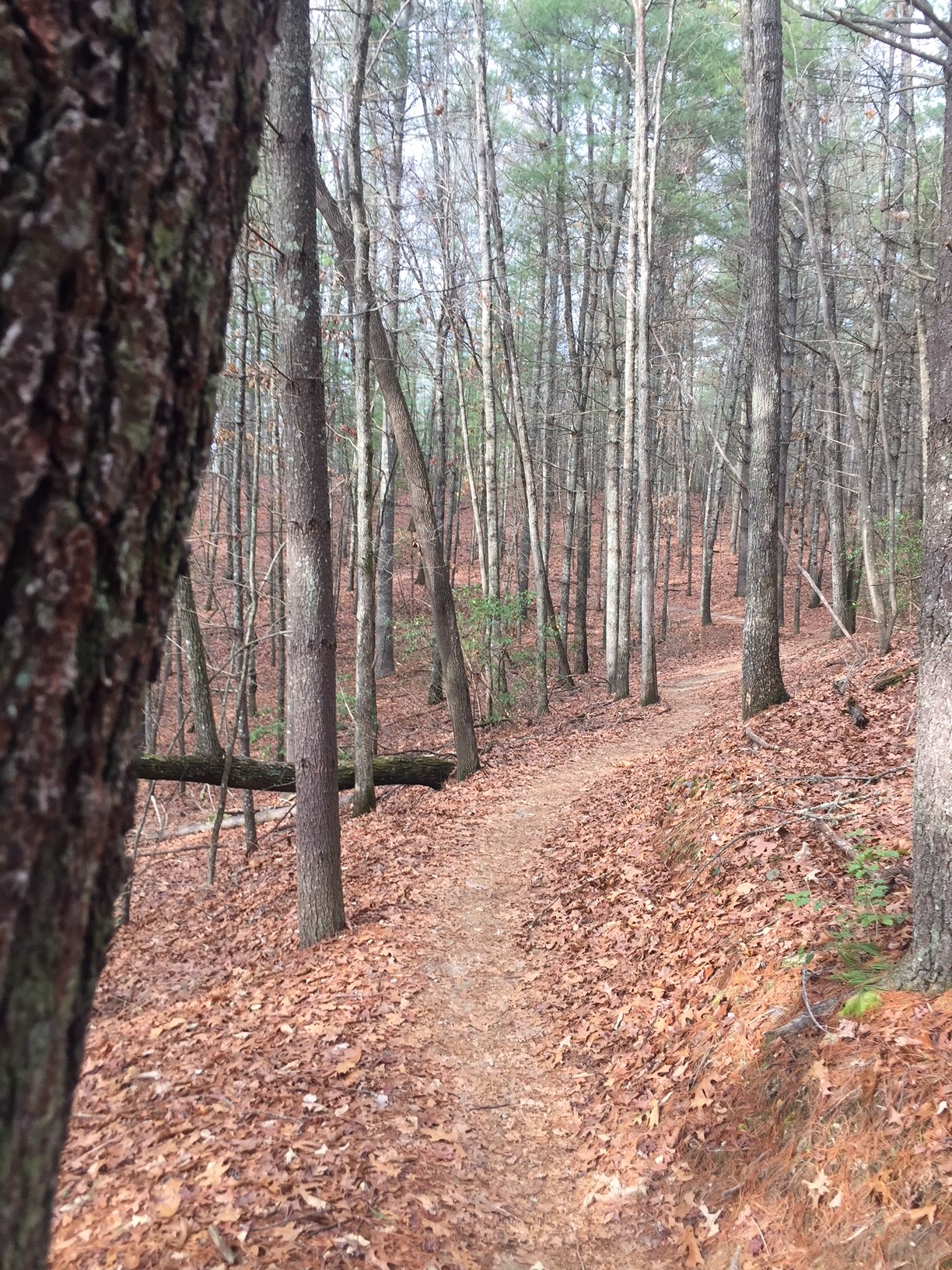 The Captain's Journal » Mountains